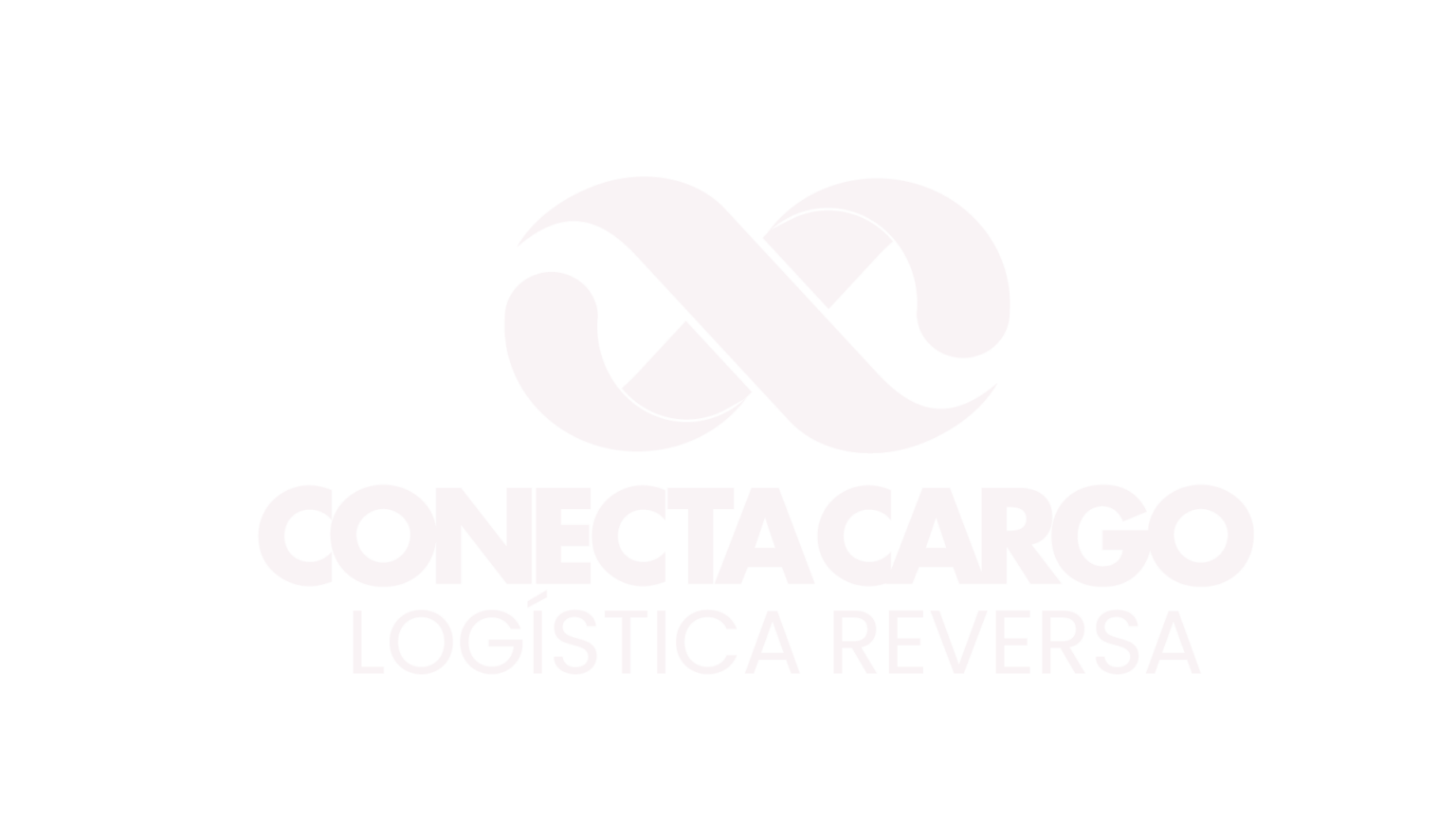 Conecta Cargo – Logística Reversa